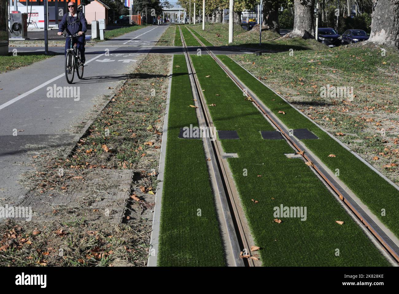 Decorative artificial grass is installed on the tram line, in Osijek ...