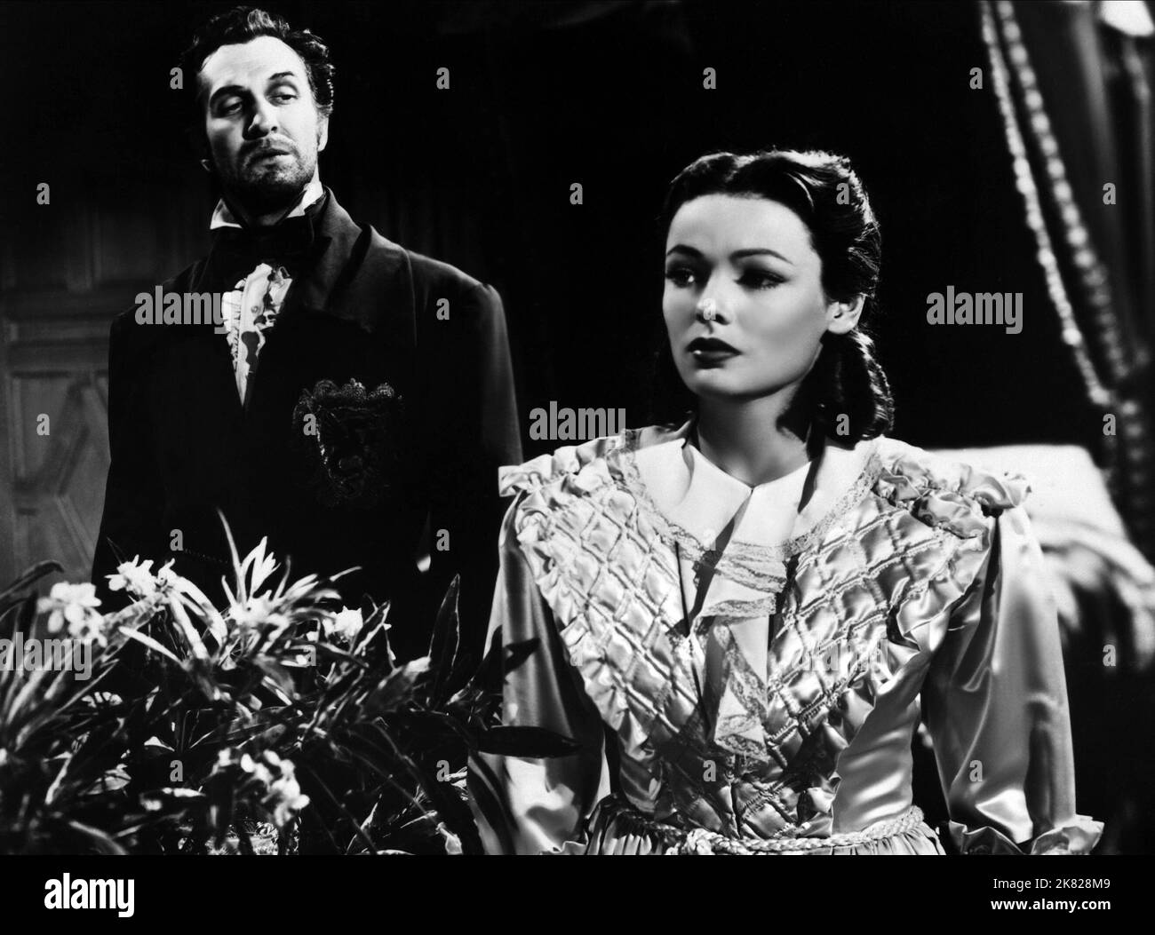 Dragonwyck hi-res stock photography and images - Alamy