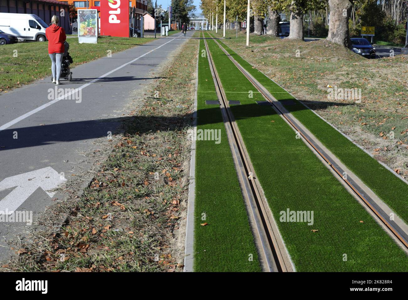 Decorative artificial grass is installed on the tram line, in Osijek ...
