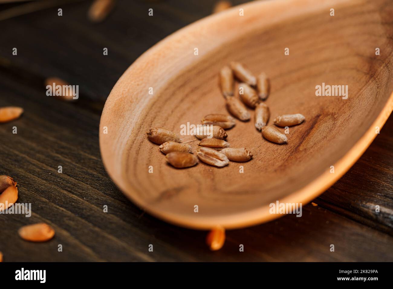 Wheat grain seed sample hi-res stock photography and images - Alamy