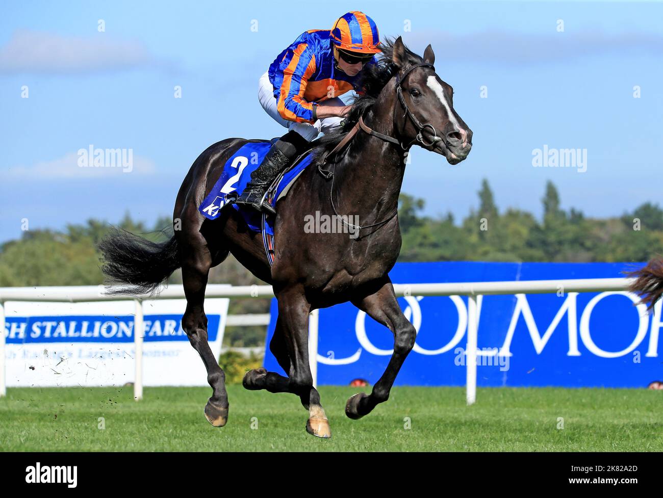File photo dated 10-09-2022 of Auguste Rodin ridden by Ryan Moore ...