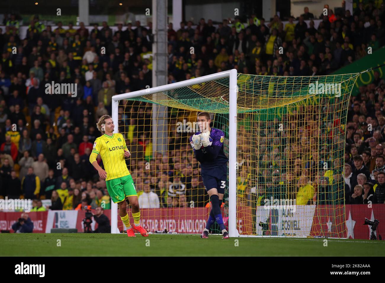 Todd Cantwell of Norwich City looks on after Ethan Horvath of Luton ...