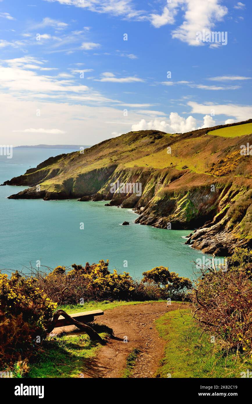 The South West Coast Path at Pudcombe Cove near Coleton Fishacre, South ...