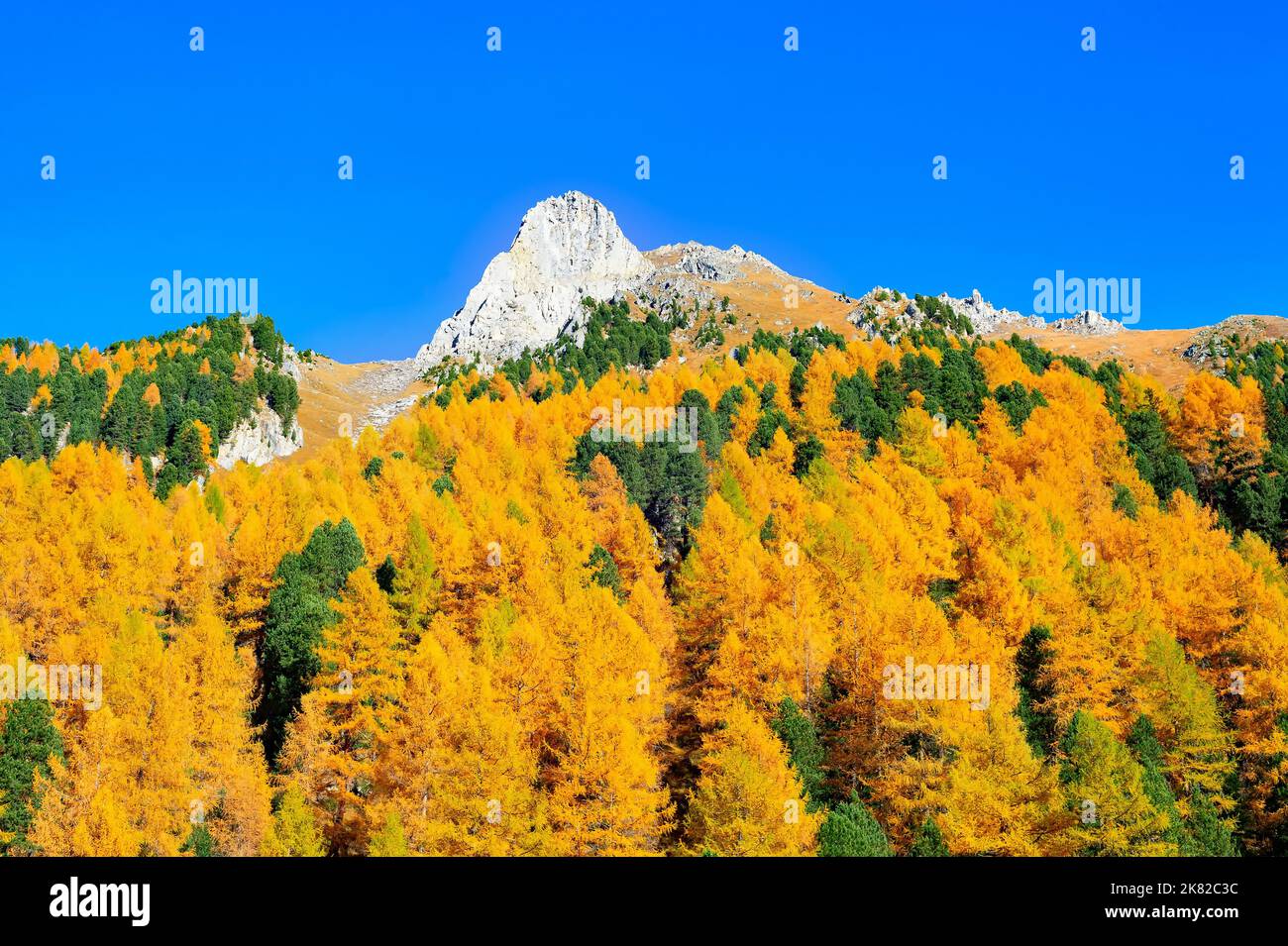 Fall landscape with mountain peak and golden forest, autumn in Alps ...