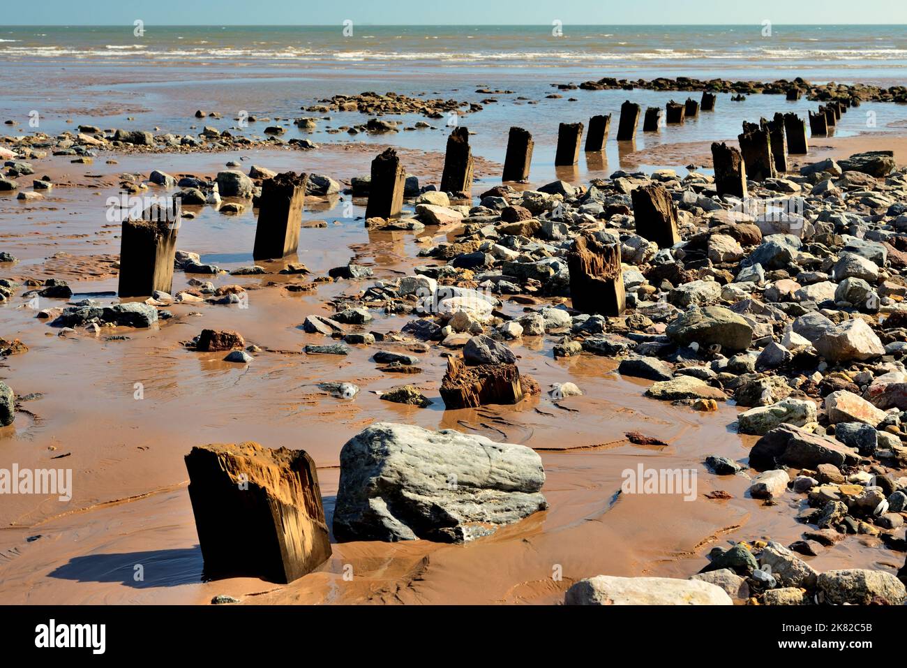 Scattered rocks and the remains of wooden stumps on the beach at low ...