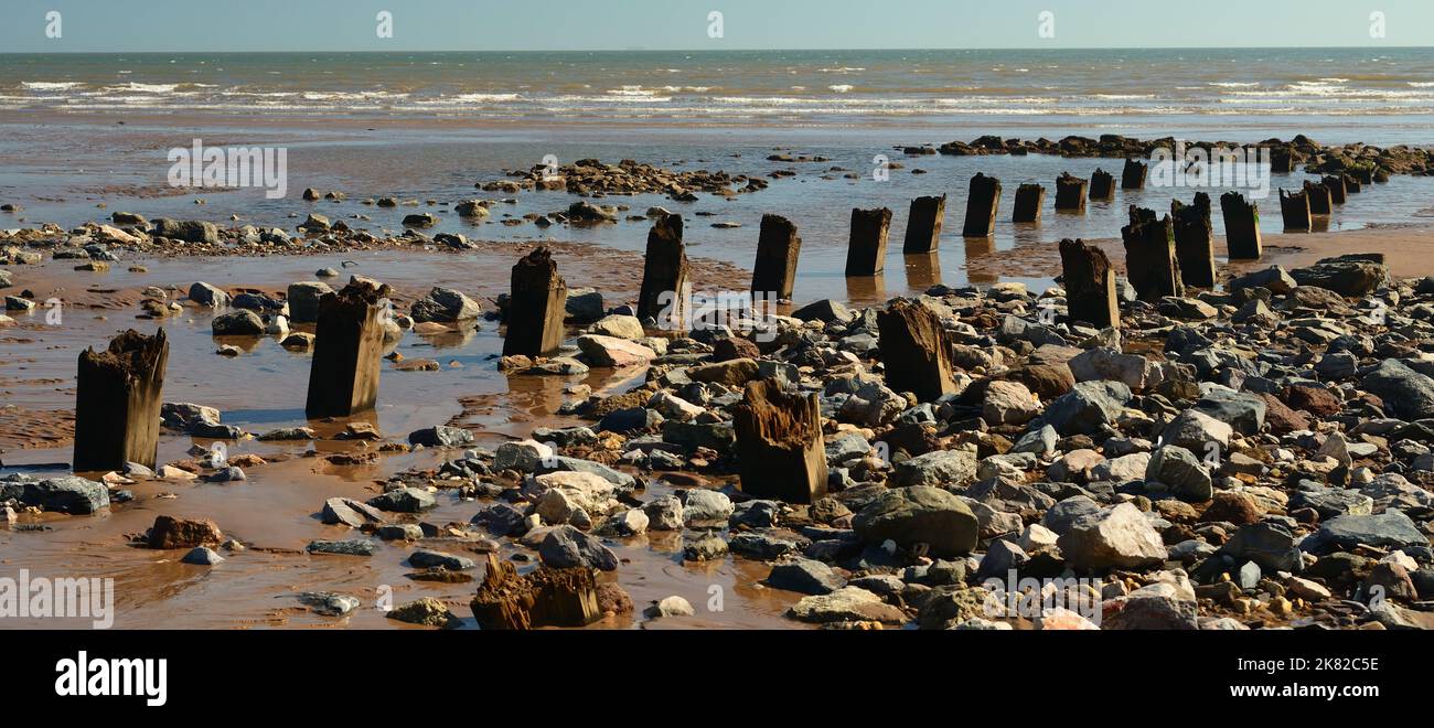 Scattered rocks and the remains of wooden stumps on the beach at low ...