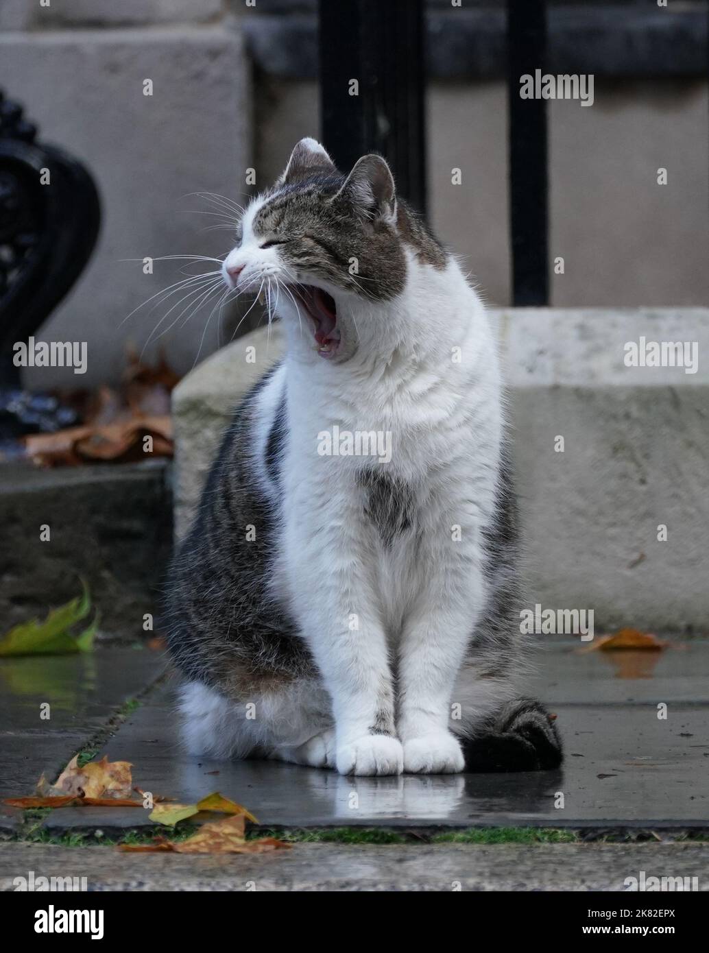 Here photographed october 20 hi-res stock photography and images - Alamy