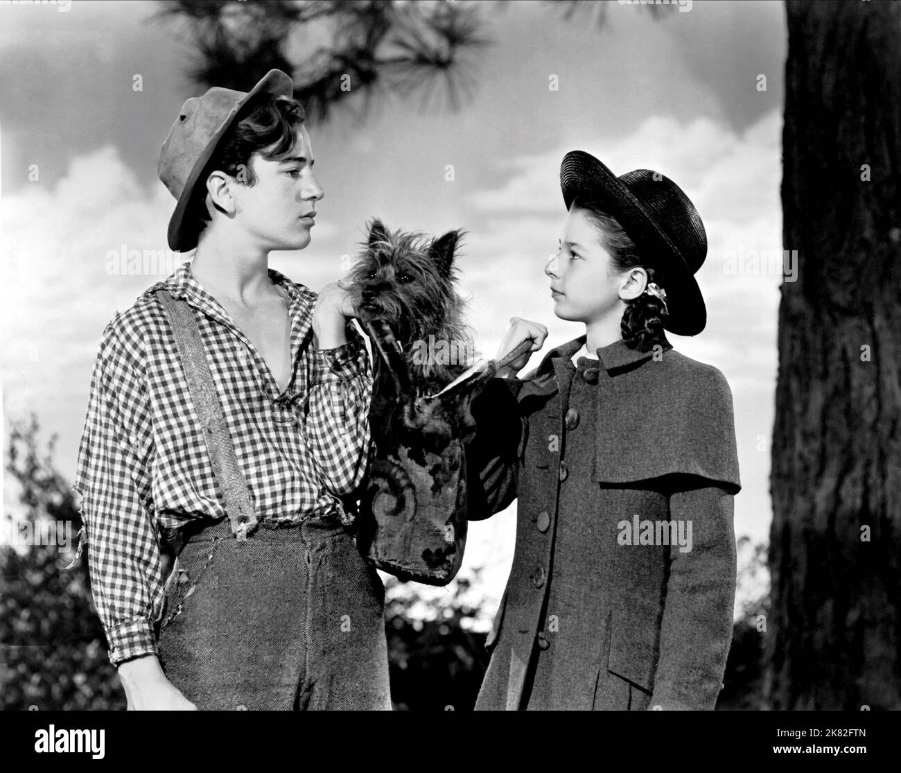 Gene Reynolds & Virginia Weidler Film: Bad Little Angel (USA 1939 ...