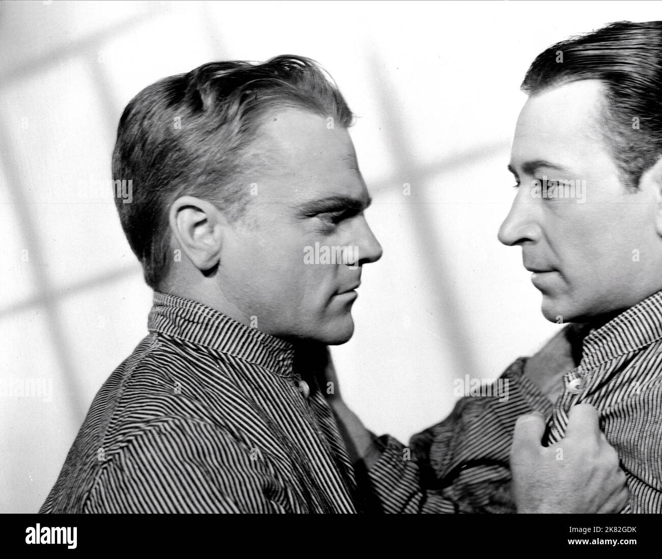 Stacey Gillette's Instagram, Twitter & Facebook on IDCrawl