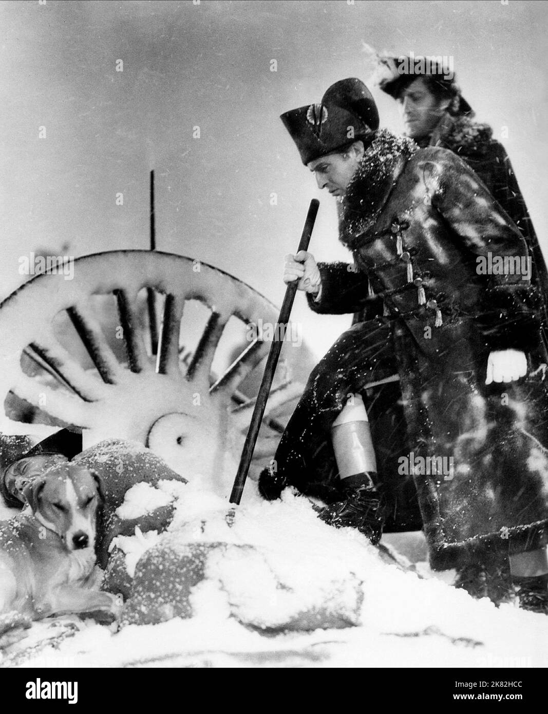 Napoleon dog hi-res stock photography and images - Alamy