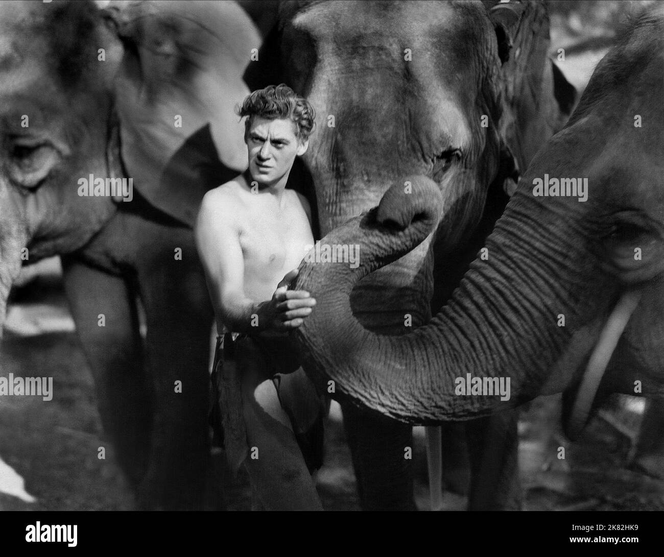 Elephant Fearless Man