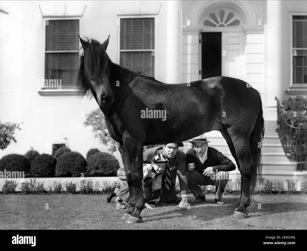 Donald O'Connor, Fred Macmurray & Bing Crosby & Horse Film: Sing You ...