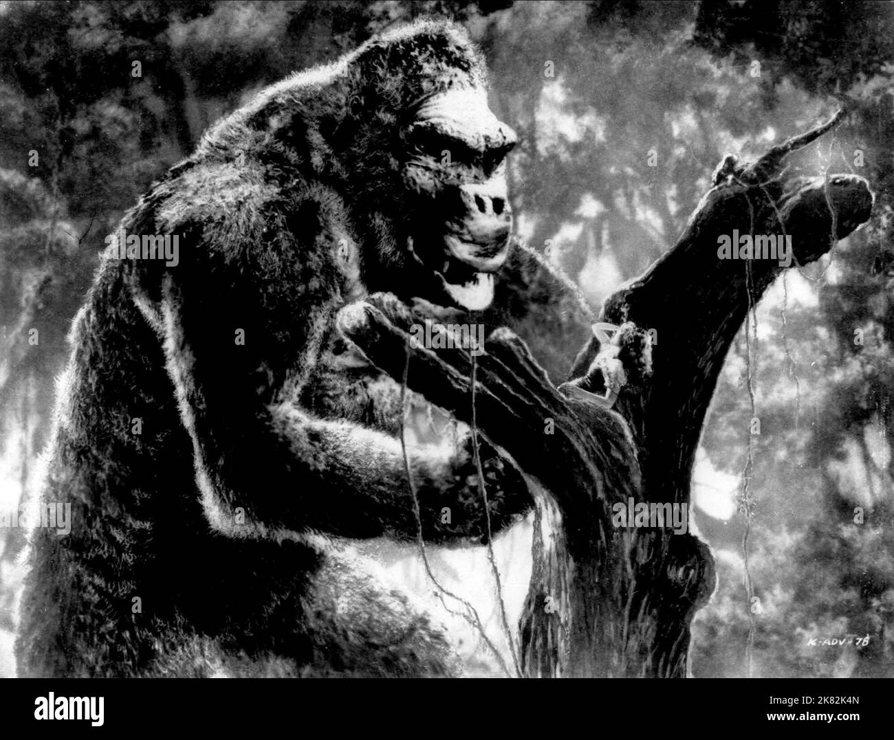 King Kong & Fay Wray Film: King Kong (USA 1933) Characters: The Eighth ...
