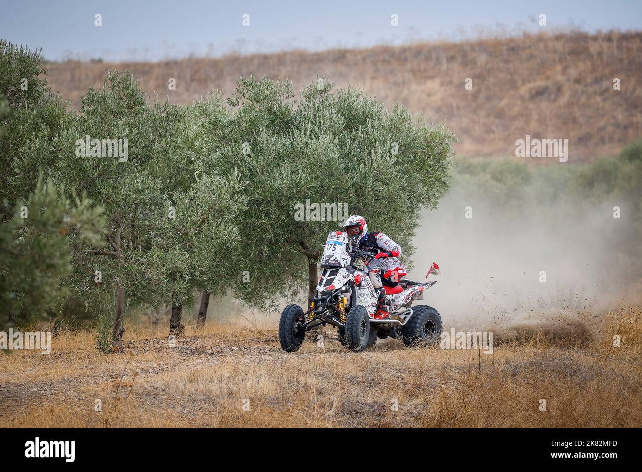 Krysik hi-res stock photography and images - Alamy