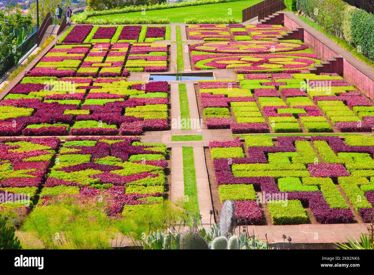 Botanical garden jardim botanico hi-res stock photography and images ...