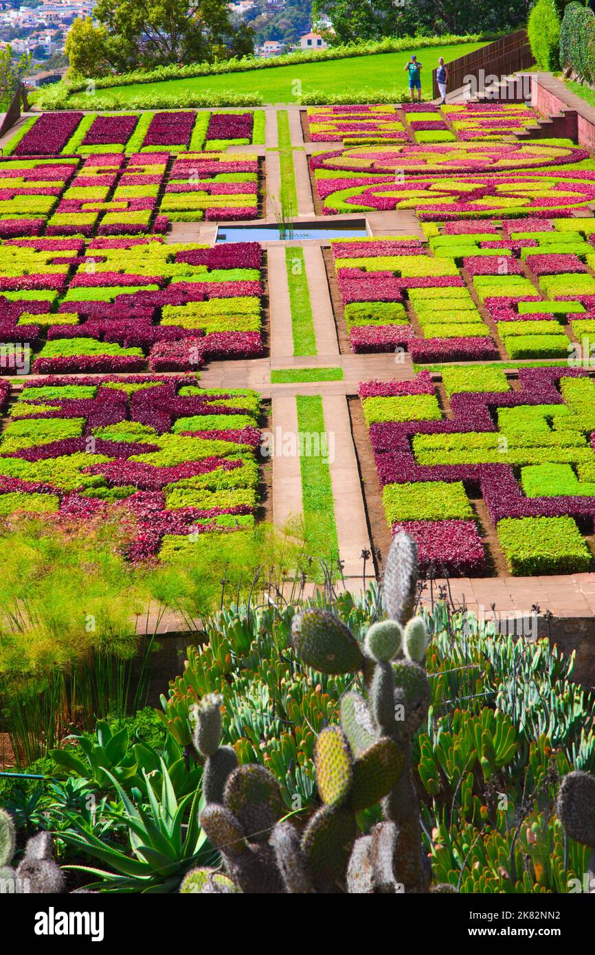 Portugal, Madeira, Monte, Botanical Garden, Jardim Botanico Stock Photo ...