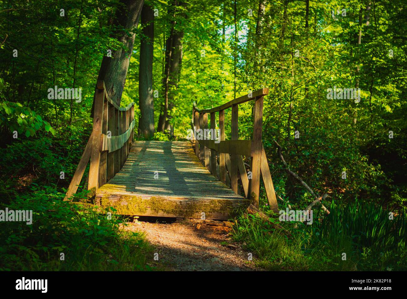 Nature at the edge of the forest with a bridge Stock Photo - Alamy