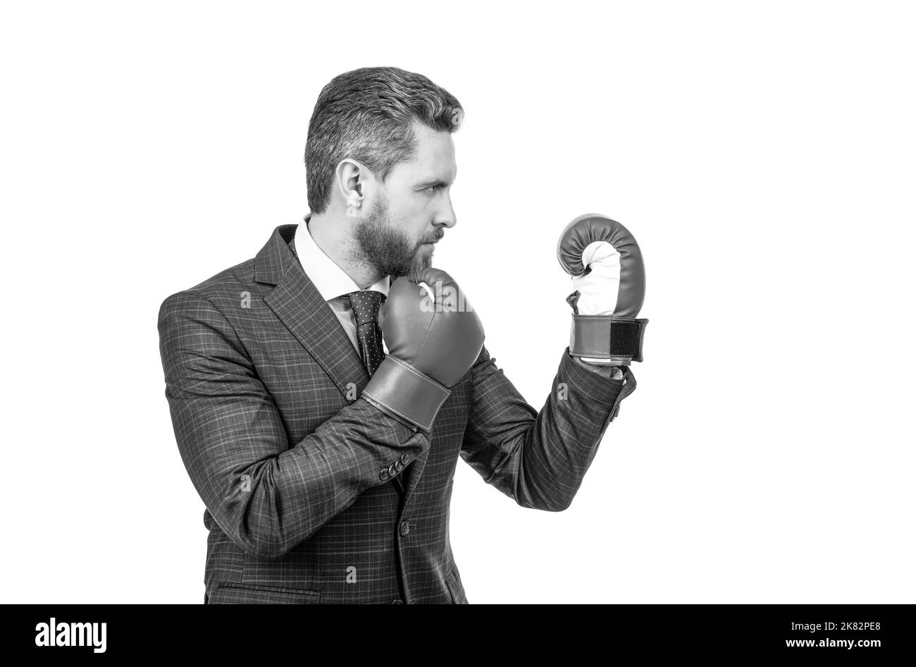 man in suit and boxing gloves at corporate business battle isolated on ...