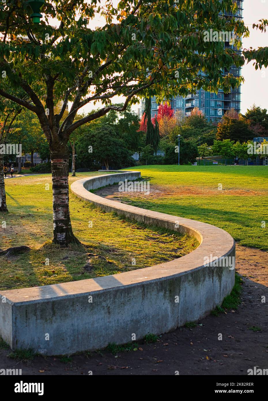 City park in sunrise light. Beautiful urban city park at sunny day in ...
