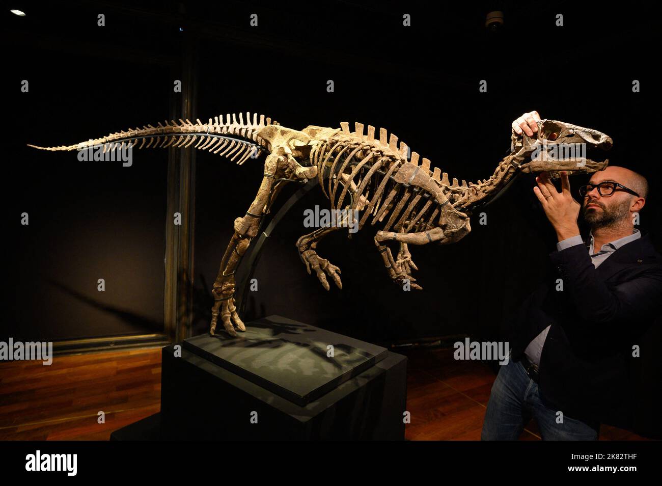 Drouot auction dinosaur hi-res stock photography and images - Alamy