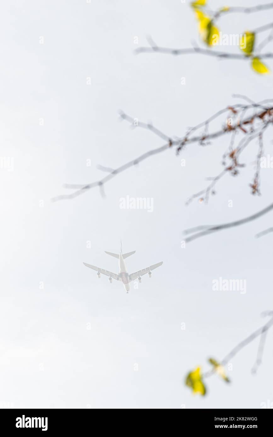 Bright yellow airplane hi-res stock photography and images - Alamy