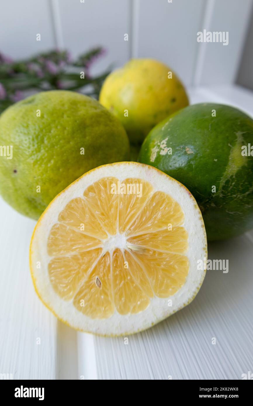 fresh whole lemons and one cut, citrus fruit with vitamin c, ingredient ...