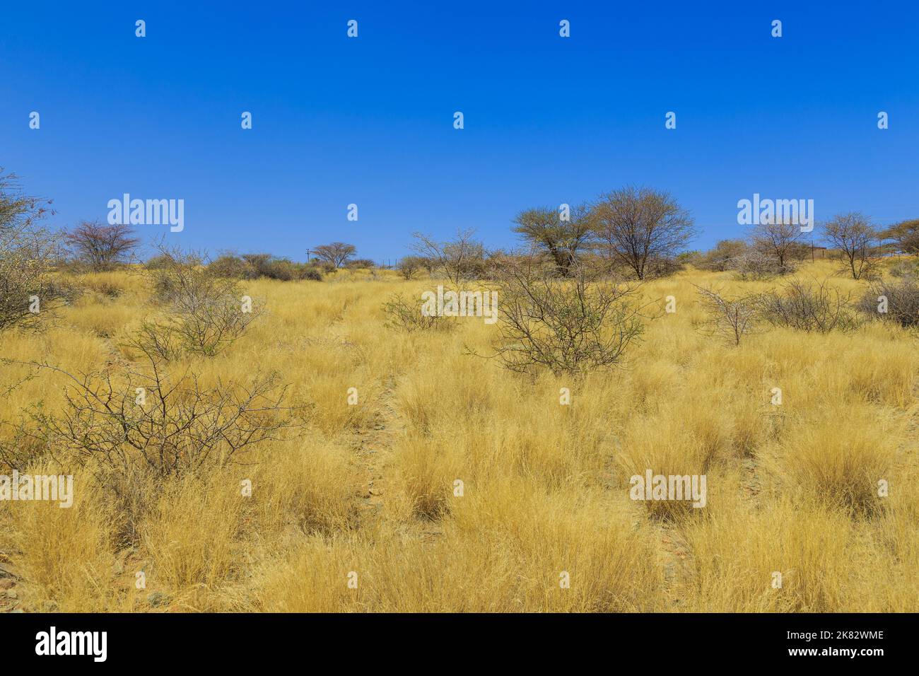 Namibian landscape. African savannah during a hot day. Oanob, Namibia ...