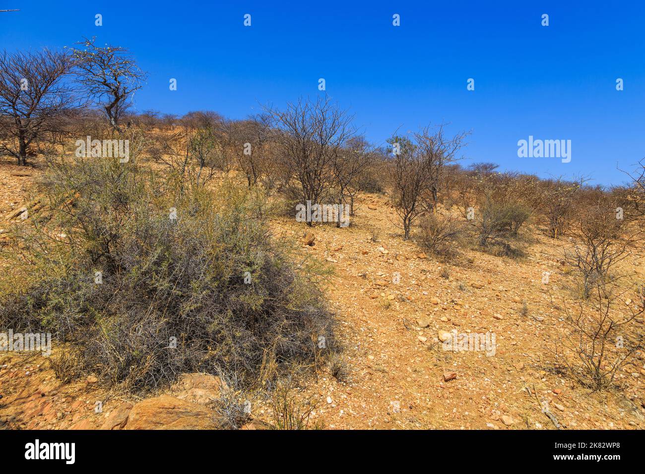 Namibian landscape. African savannah during a hot day. Oanob, Namibia ...