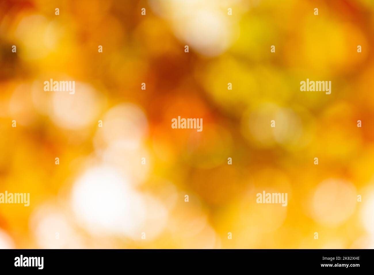 Colorful autumn leaves blured background Stock Photo - Alamy
