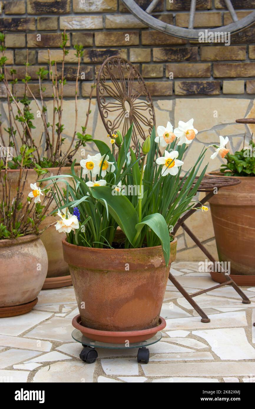 beautiful place in the garden in the mediterranean style, clay pots ...