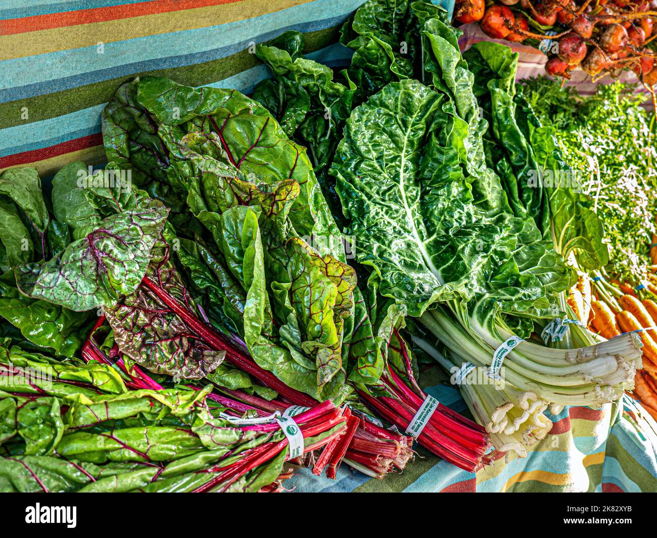 Plant beta vulgaris of amaranth family hi-res stock photography and ...