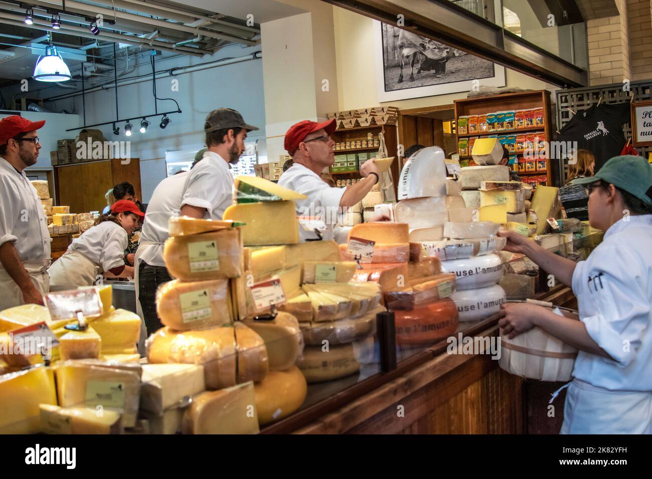 Italian french american cheese varieties hi-res stock photography and ...