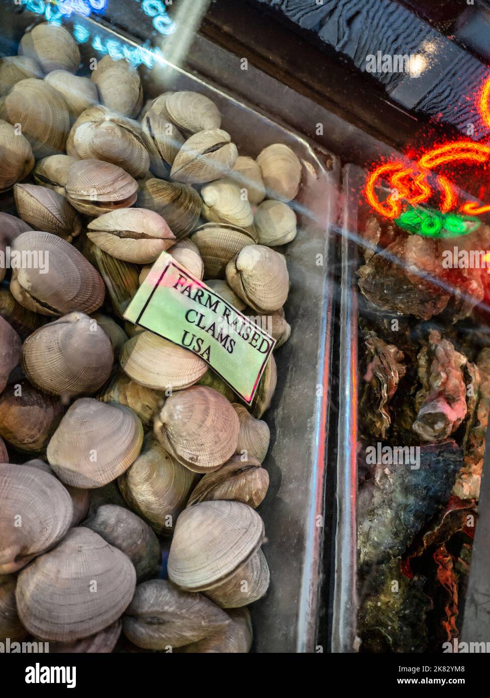 Farm Raised Clams in a chiller cabinet for sale, at Pier 39 Embarcadero ...
