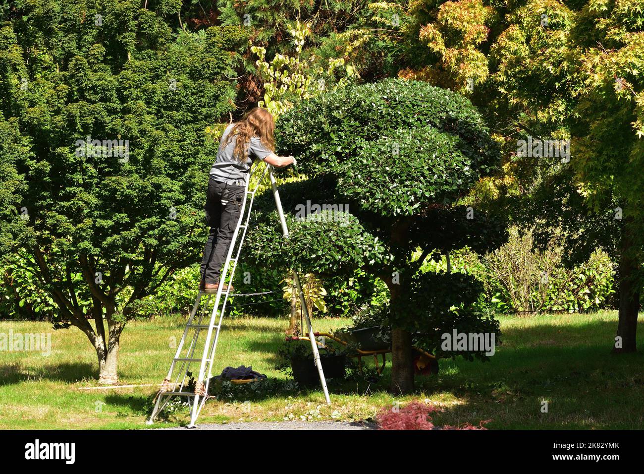 Safety ladders hi-res stock photography and images - Alamy