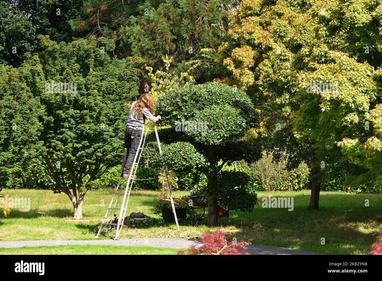Tripod ladders hi-res stock photography and images - Alamy
