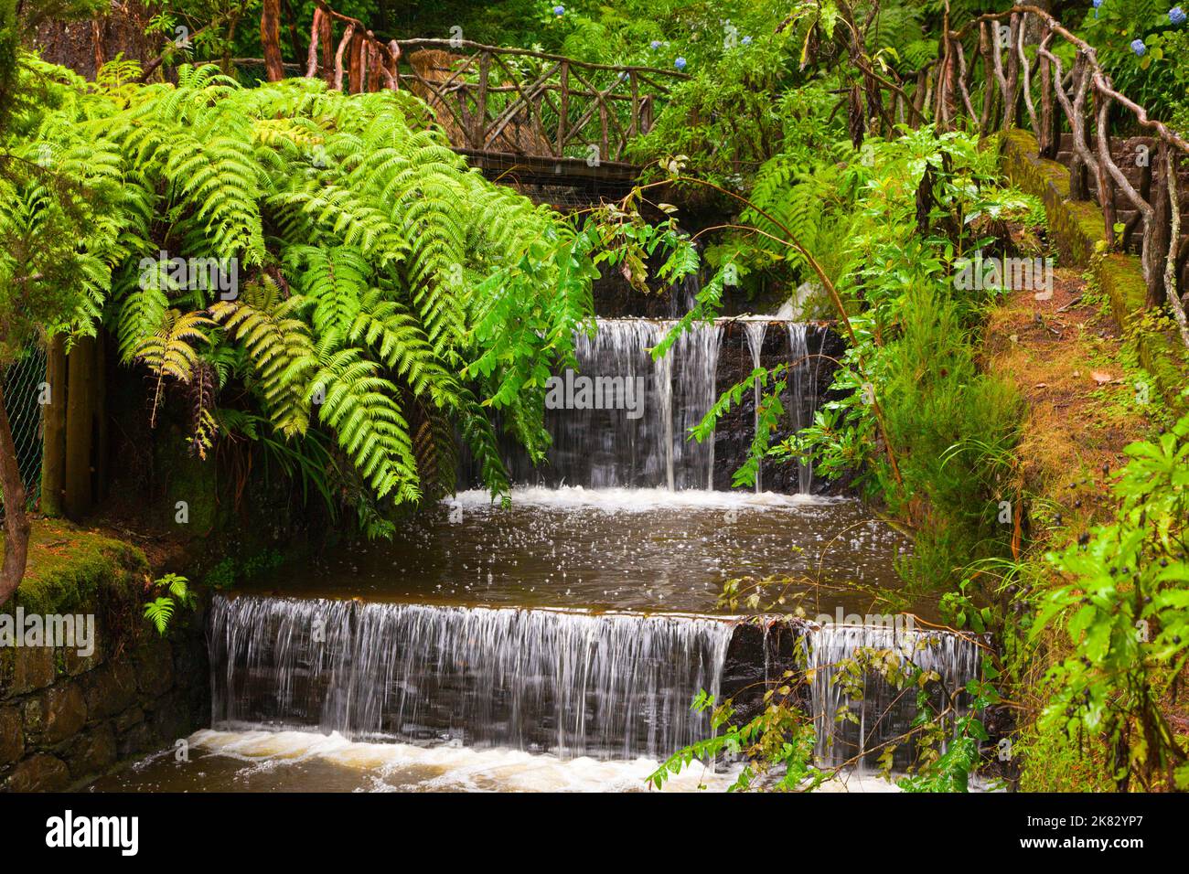 Portugal, Madeira, Parque das Queimadas, rain forest, levada, waterfall ...