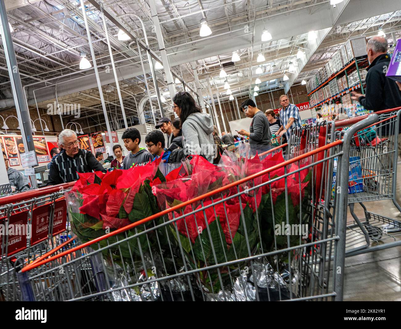 Christmas Shopping Lines