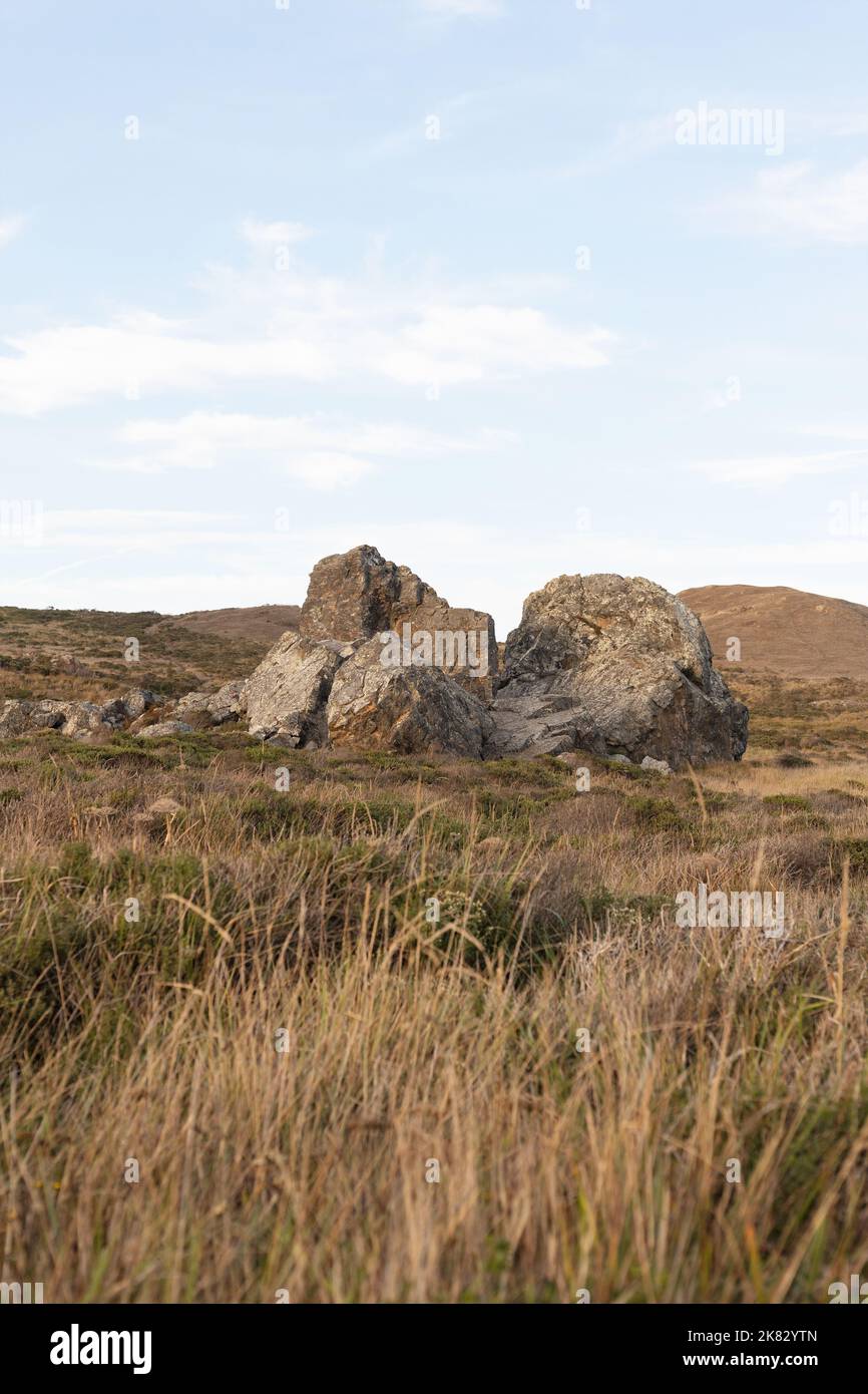 Rocks used by mammoths in prehistoric times for rubbing and scratching ...