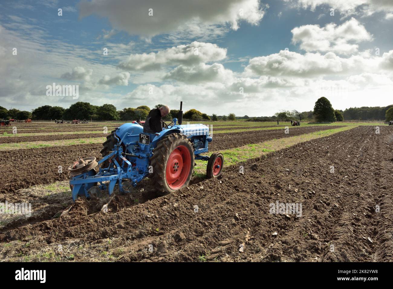 Old blue tractor plowing a large field in the springtime Stock Photo ...