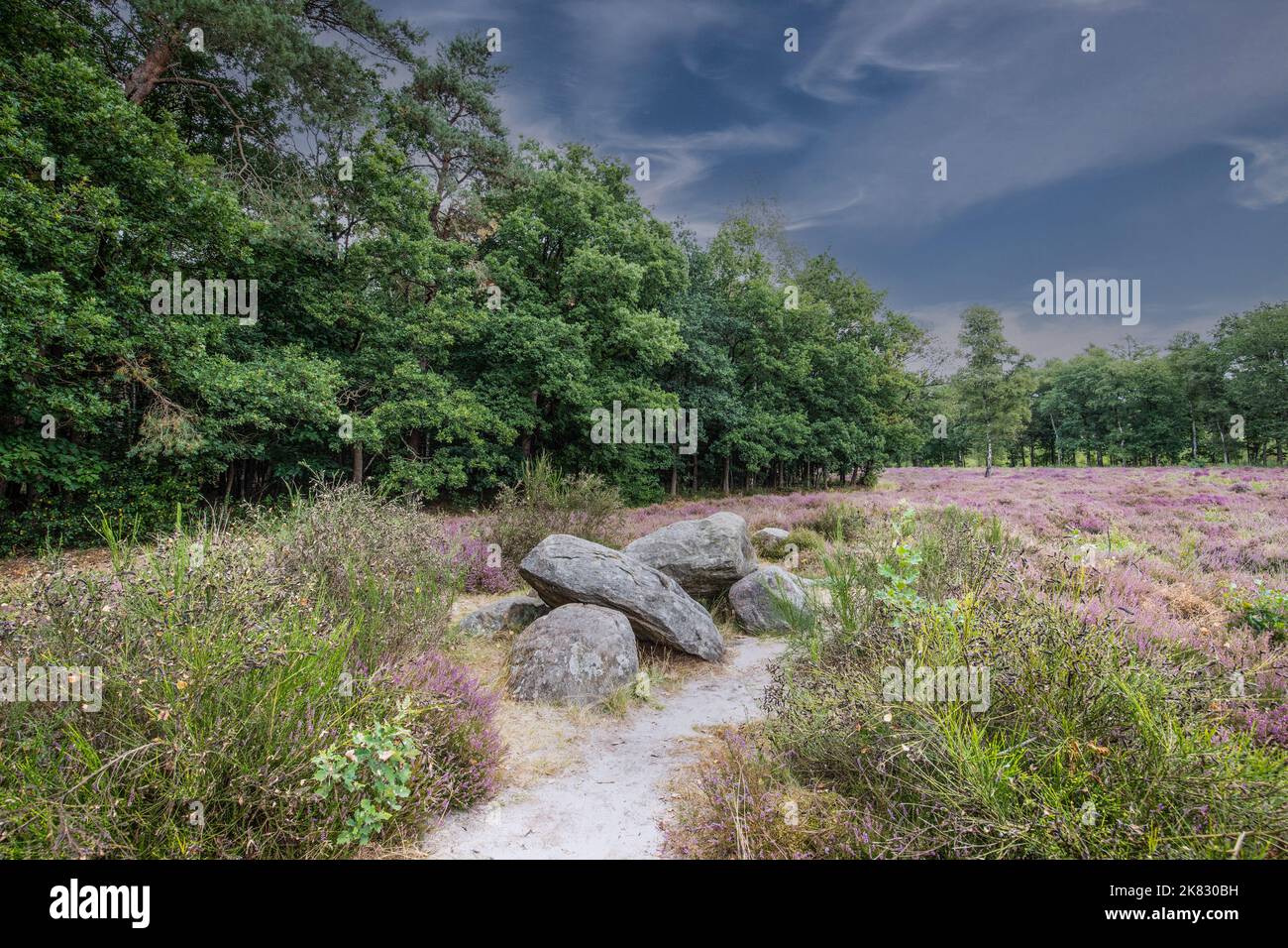 Dolmen D38, Valtherbos municipality of Emmen in the Dutch province of ...