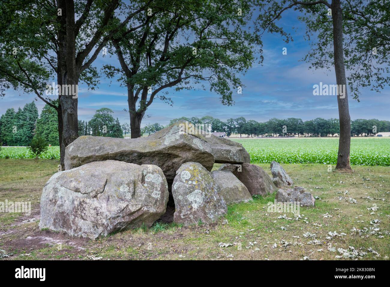 Dolmen D29, Buinen, municipality of Borger-Odoorn in the Dutch province ...