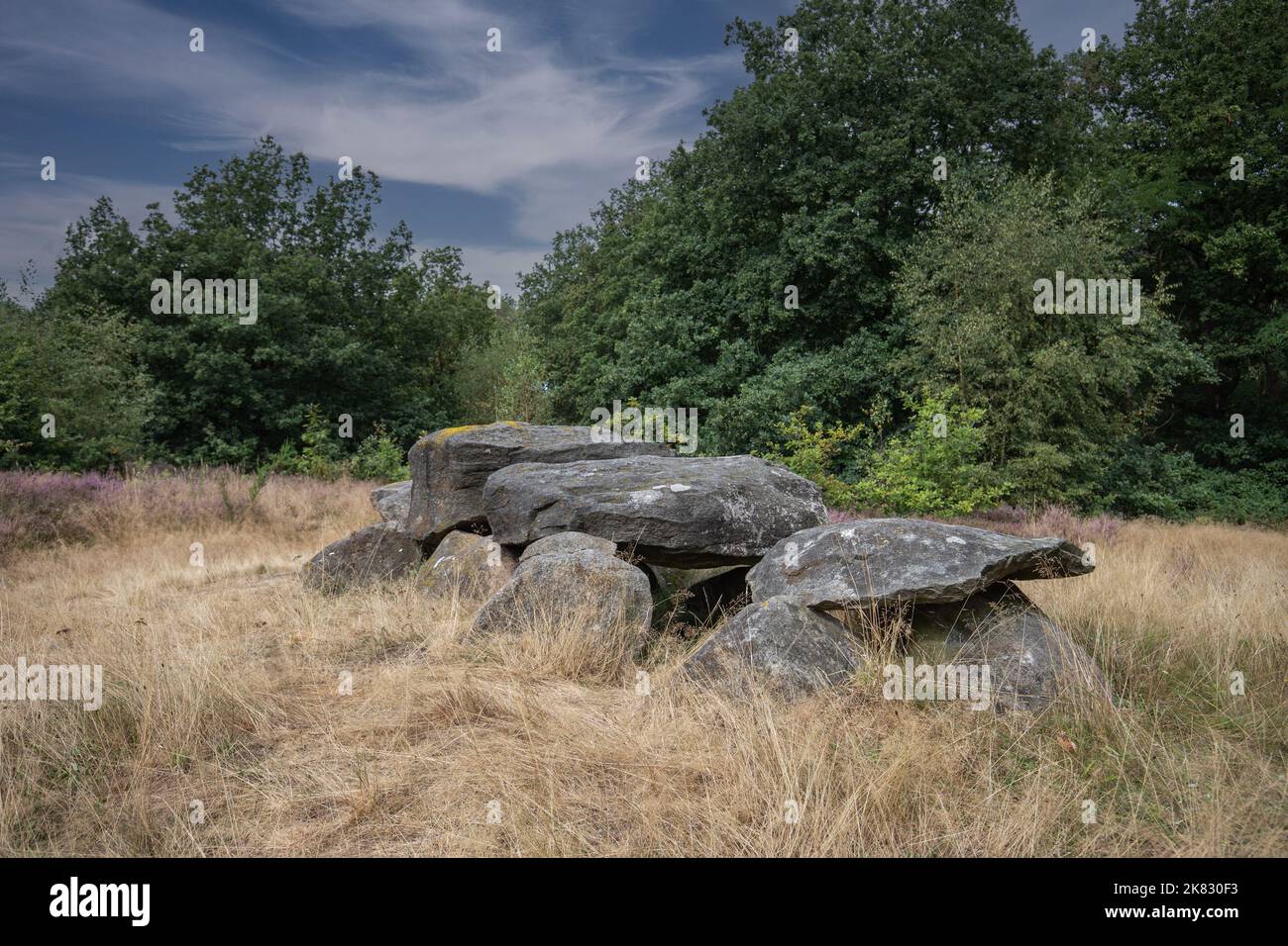 Dolmen D41, Emmen Noord municipality of Emmen in the Dutch province of ...