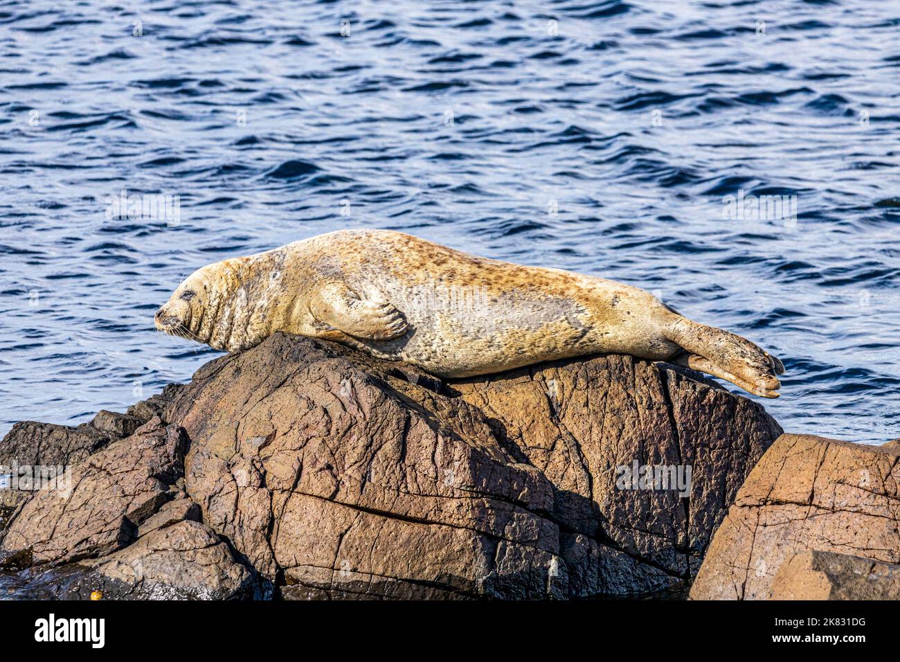 Slump coast hi-res stock photography and images - Alamy