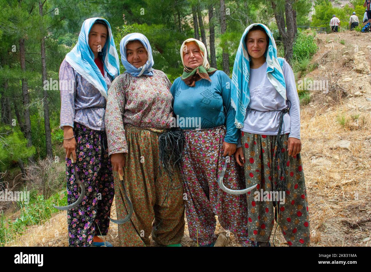 Four peasant women with scythes harvesting in the Tarsus Mountains ...