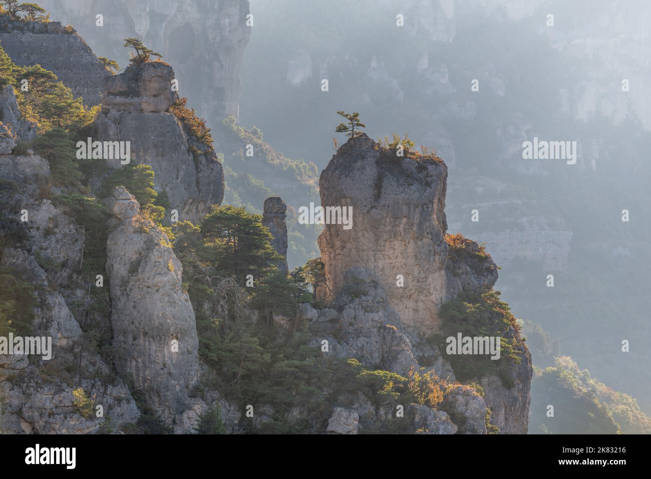 Landscape of a wild and preserved valley, canyon in the Cevennes ...