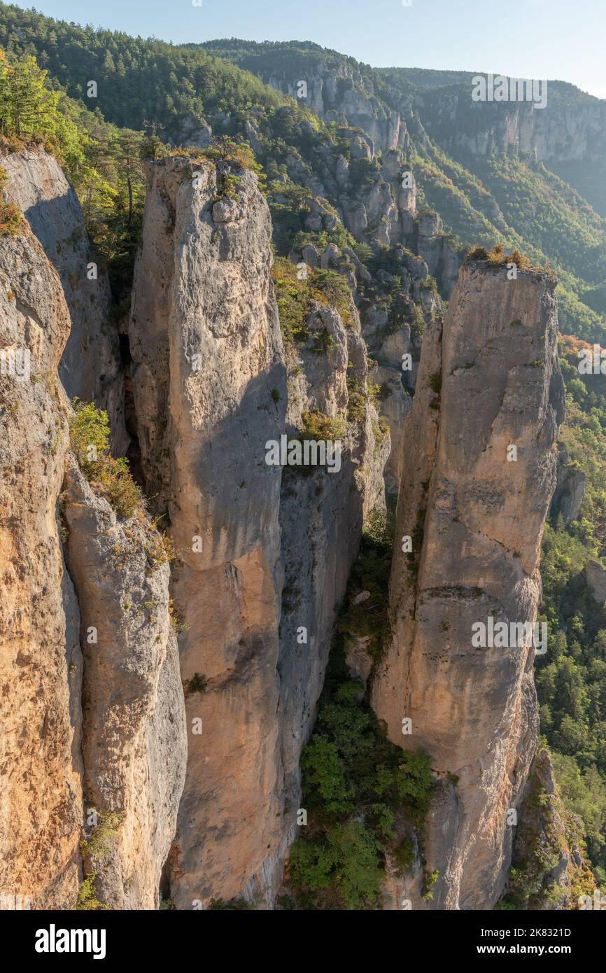 Landscape of a wild and preserved valley, canyon in the Cevennes ...