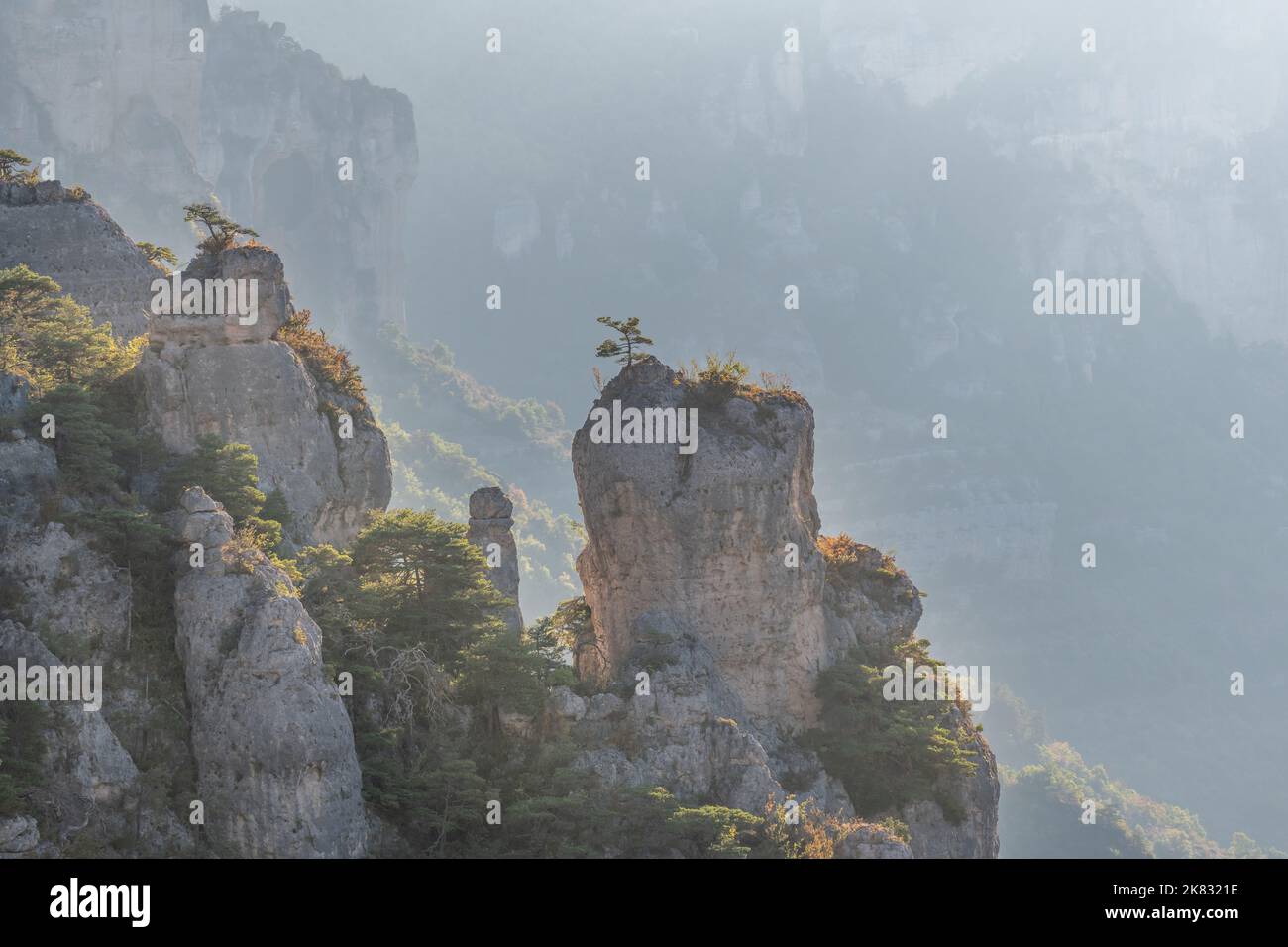 Landscape of a wild and preserved valley, canyon in the Cevennes ...