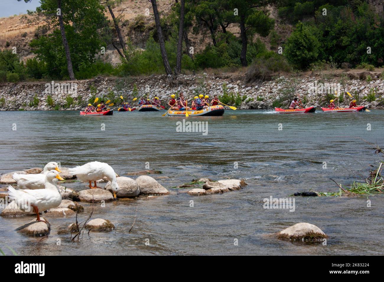 Tourists on an adventurous cruise on the river in rubber boats Taurus ...