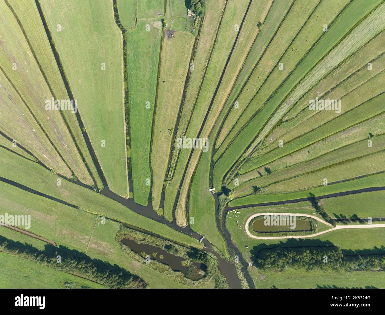 Loosdrecht recreational water river and meadow rural grass land green ...
