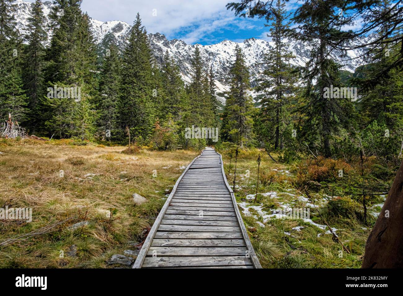 Autumn scene in Temnosmrecinska valley, High Tatras mountain, Slovak ...